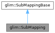 GLIM: glim::SubMapping Class Reference